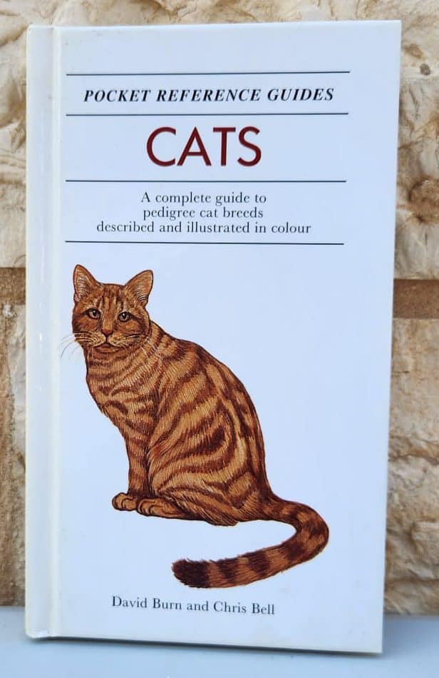 Cats - A complete guide to pedigree cat breeds described and ...