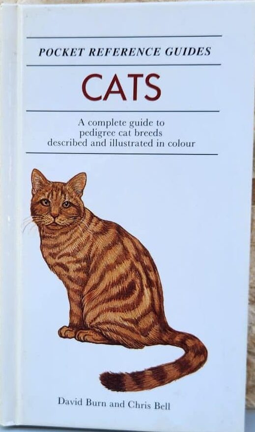 Cats - A complete guide to pedigree cat breeds described and ...